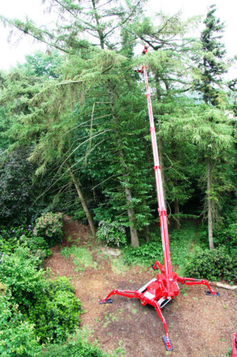 Using MEWPs In The Tree-Care Industry | News | MAYON
